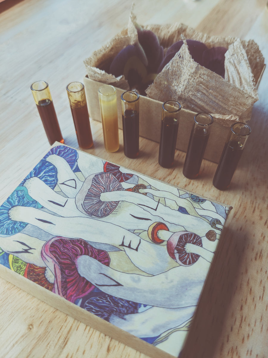 Ramadan Kit: Date Absolutes. Wild Veil perfume ingredients. Gift set.